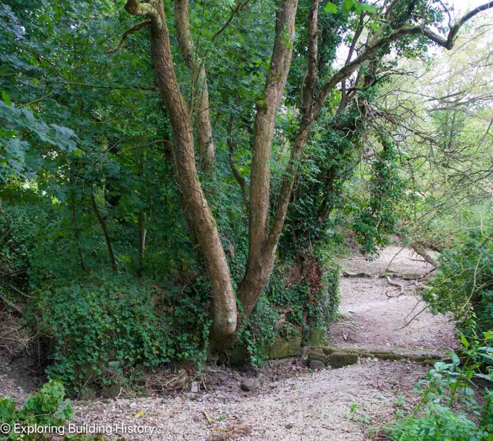 MEDIEVAL ECHOES: Church of St Mary, Tarrant Crawford, Dorset ...